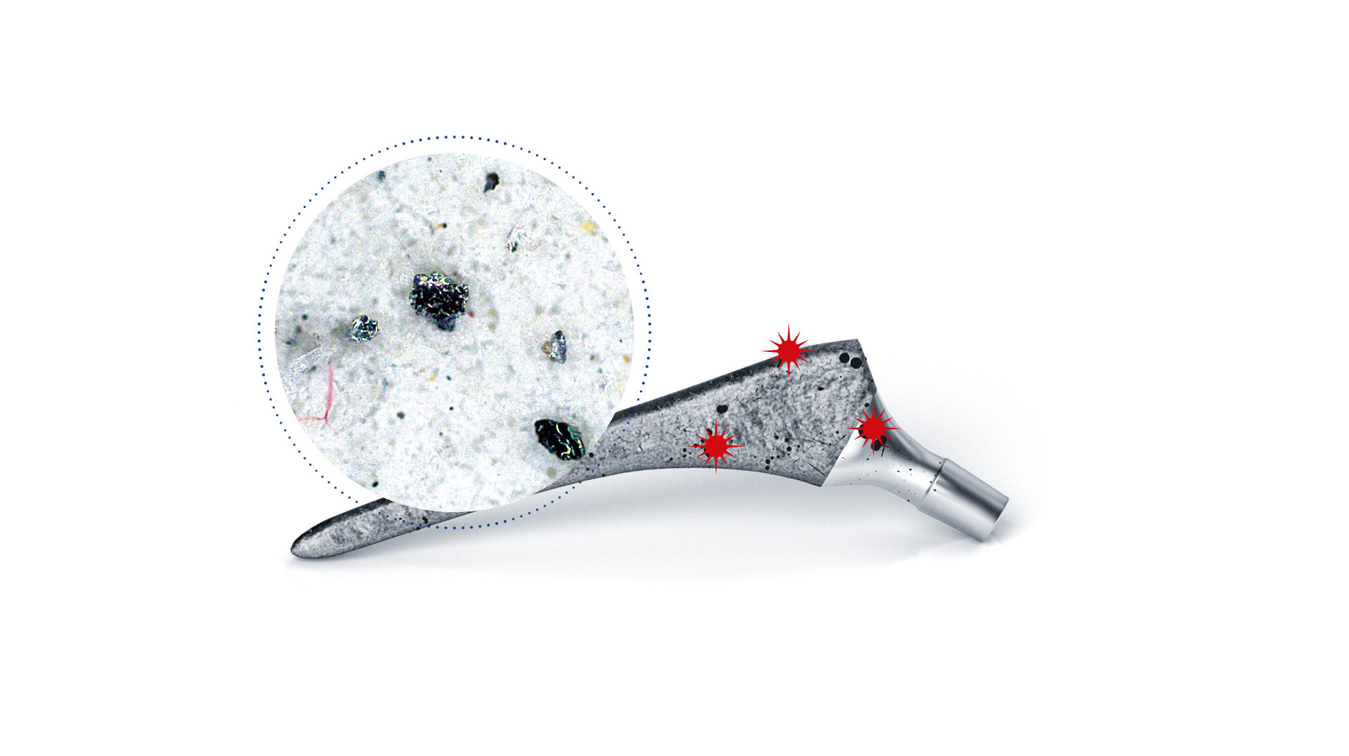 ZEISS Insights: Technical paper on identification of critical particles ...